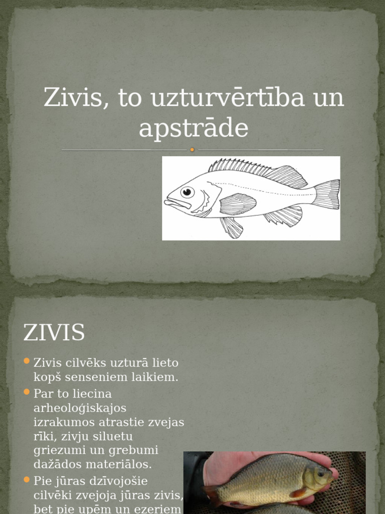 7 - KL - Zivis Un To Apstrāde | PDF