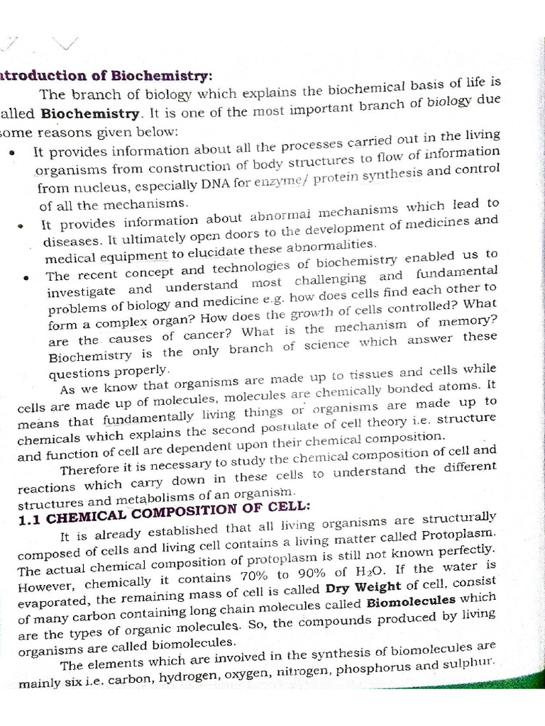 Biological Molecules | PDF