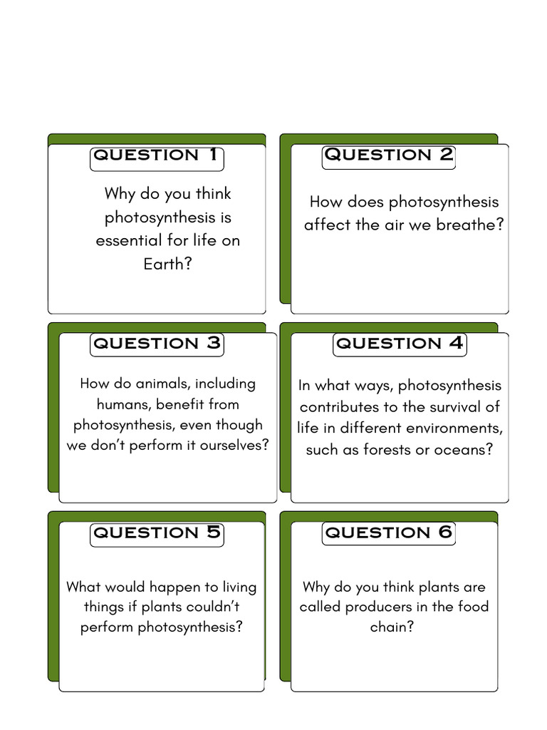 Photosynthesis Game | PDF