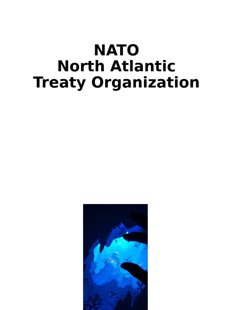 NATO Overview and Key Concepts | PDF | Nato | Global Politics