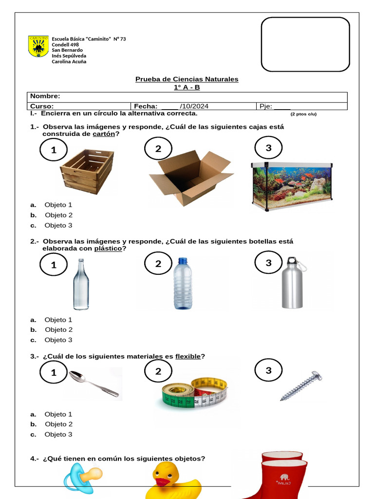 Prueba Octubre Cs. Nat. 1° A-B | PDF