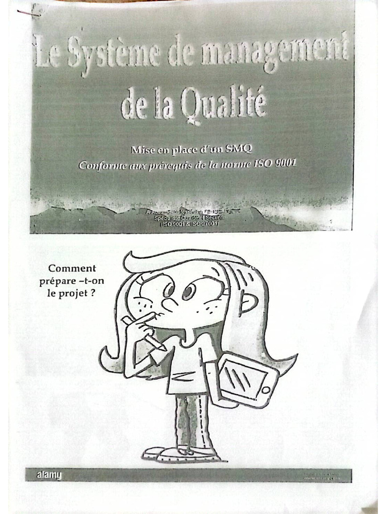 Mise en Place D'un SMQ | PDF