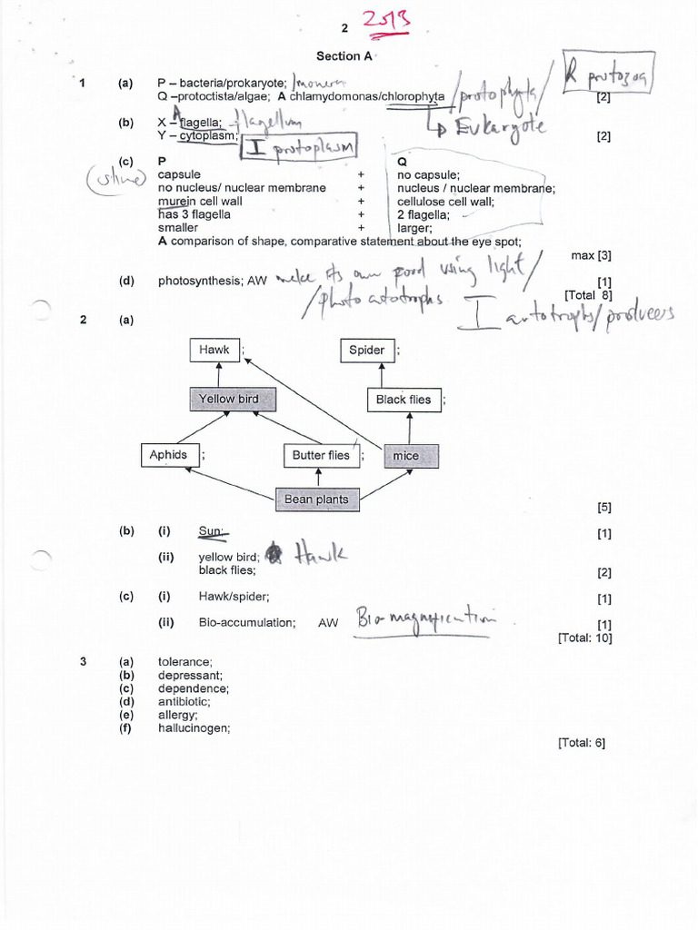 Marking Key 2013 | PDF