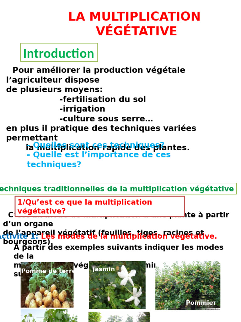 La Multiplication Végétative | PDF