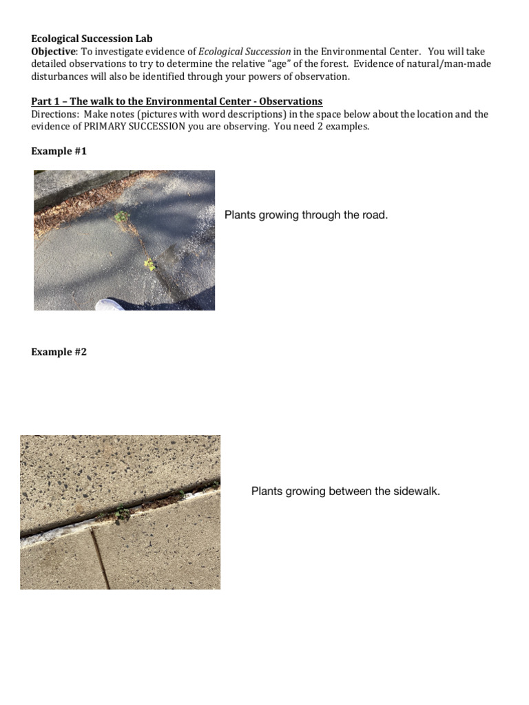 Ecological Succession Lab - Env Center21 | PDF