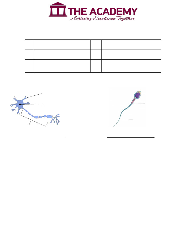 Worksheet Grade 7b | PDF