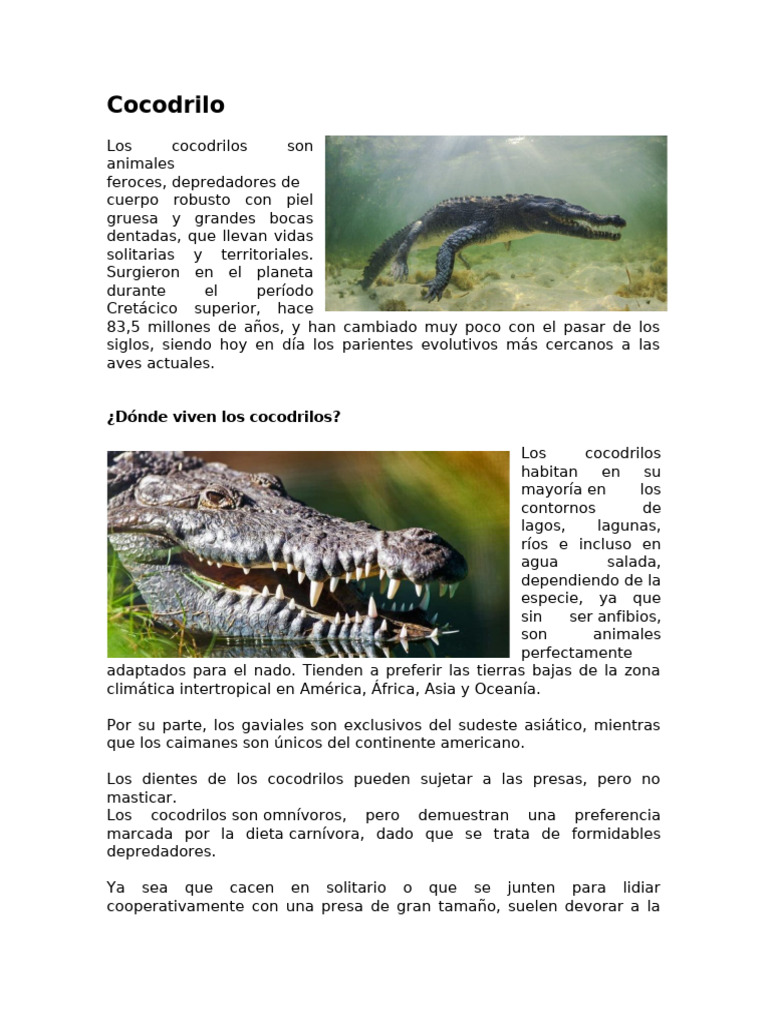Cocodrilo | PDF
