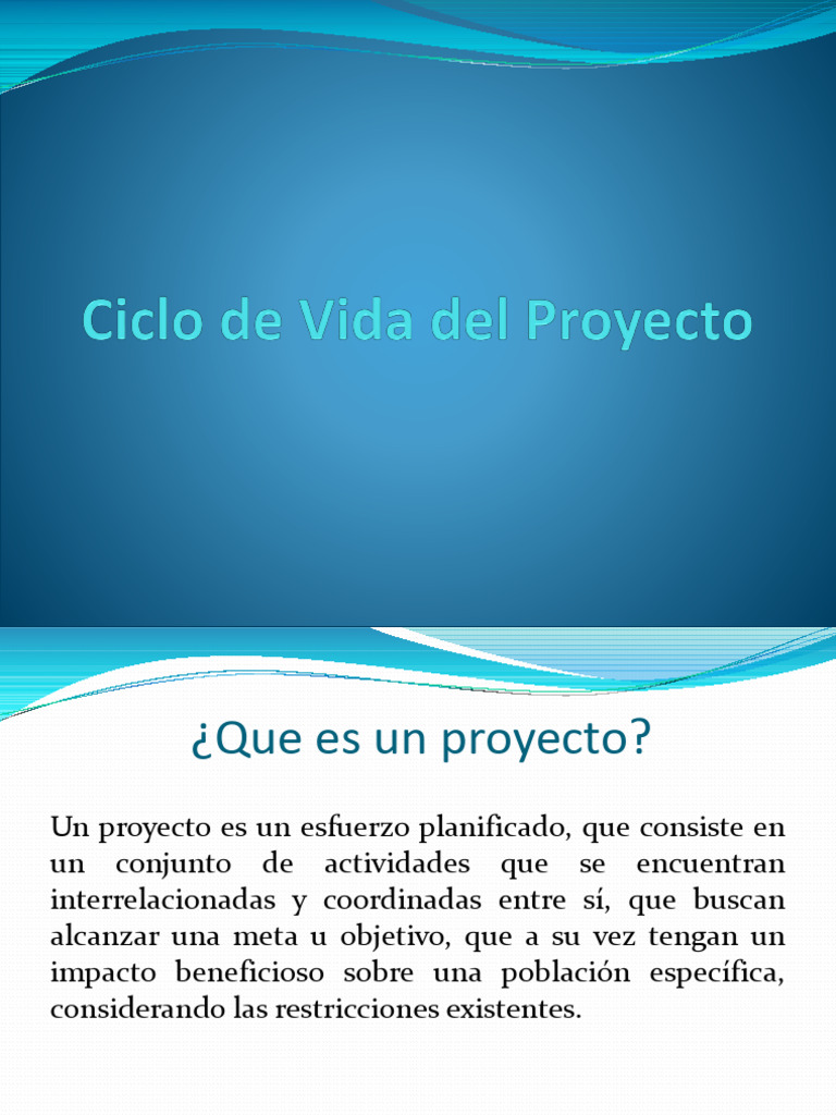 Cap 1 Ciclo De Vida Del Proyecto Pdf Evaluación Del Ciclo De Vida