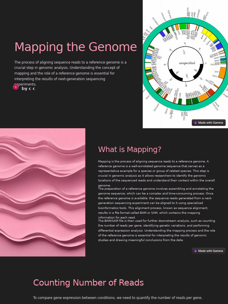 Mapping The Genome | PDF