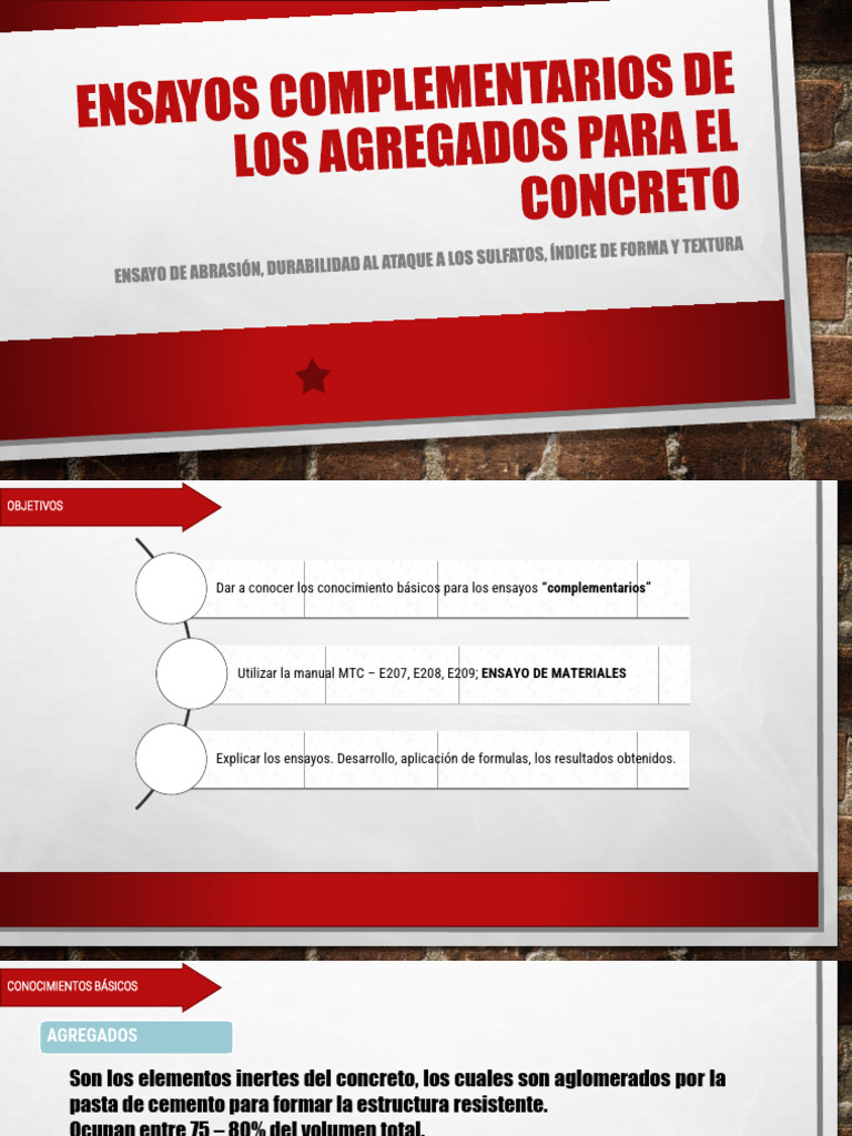 Ensayos Complementarios | PDF