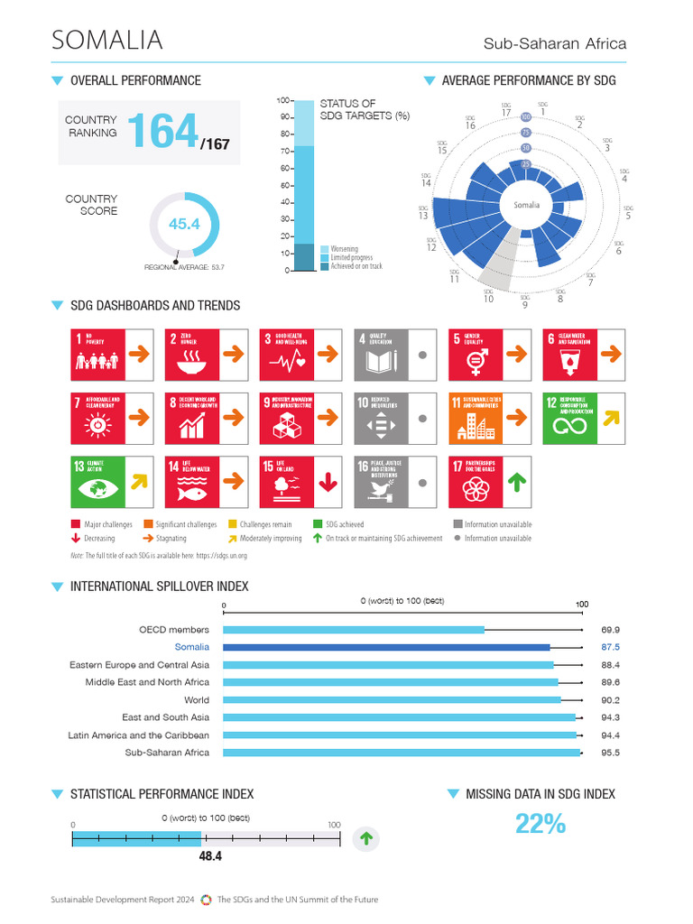 SDR 2024 Somalia | PDF
