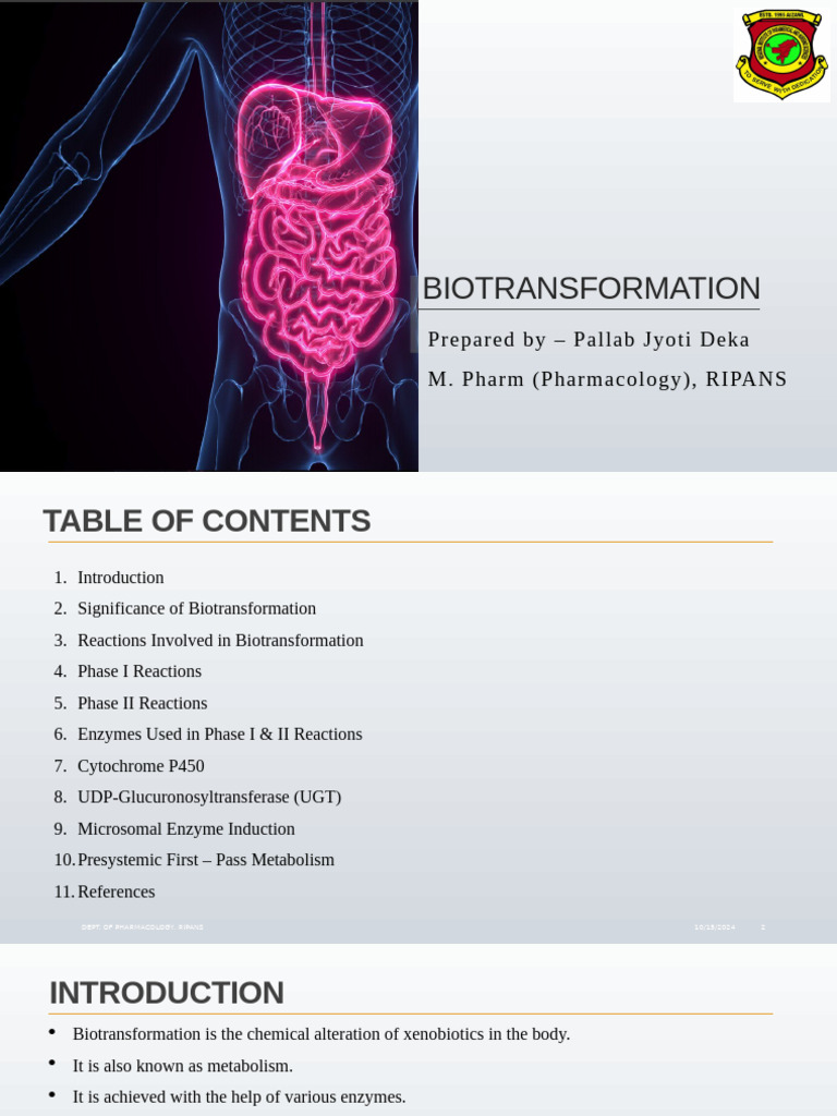 Bio Transformation | PDF