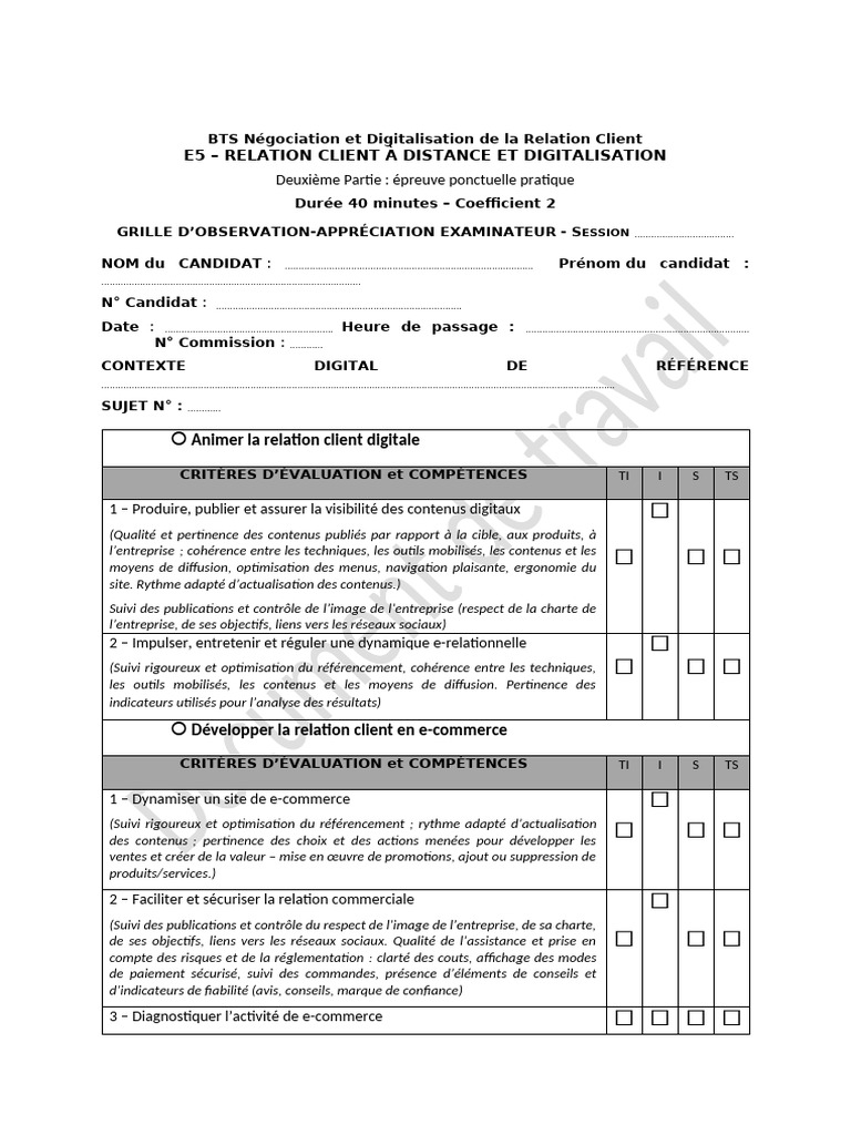 BTS NDRC E5 Grille Observation E5 Document de Travail | PDF