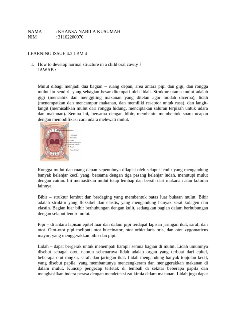 Learning Issue Modul 4.3 LBM 4 | PDF