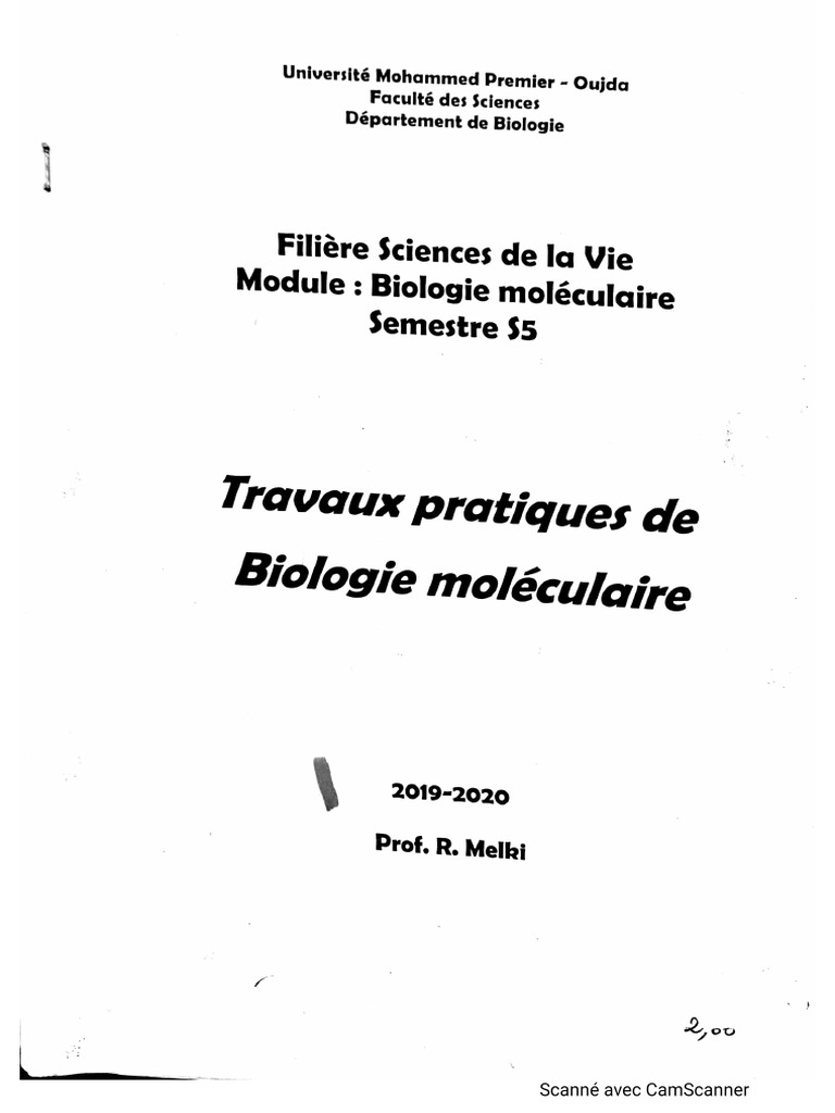 Polycop TP Moléculaire | PDF