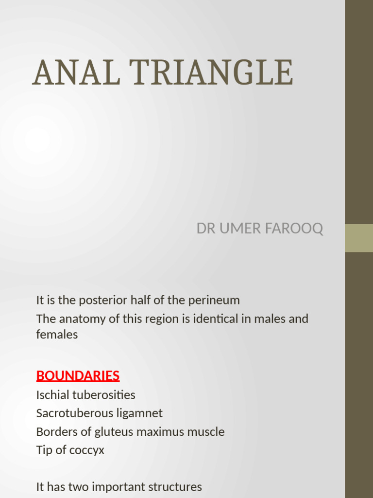 ANAL TRIANGLE | PDF