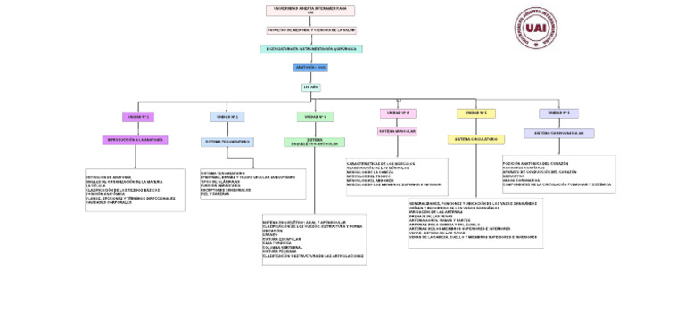 Mapa Conceptual de Contenidos Anatomía I UAI 2024 | PDF