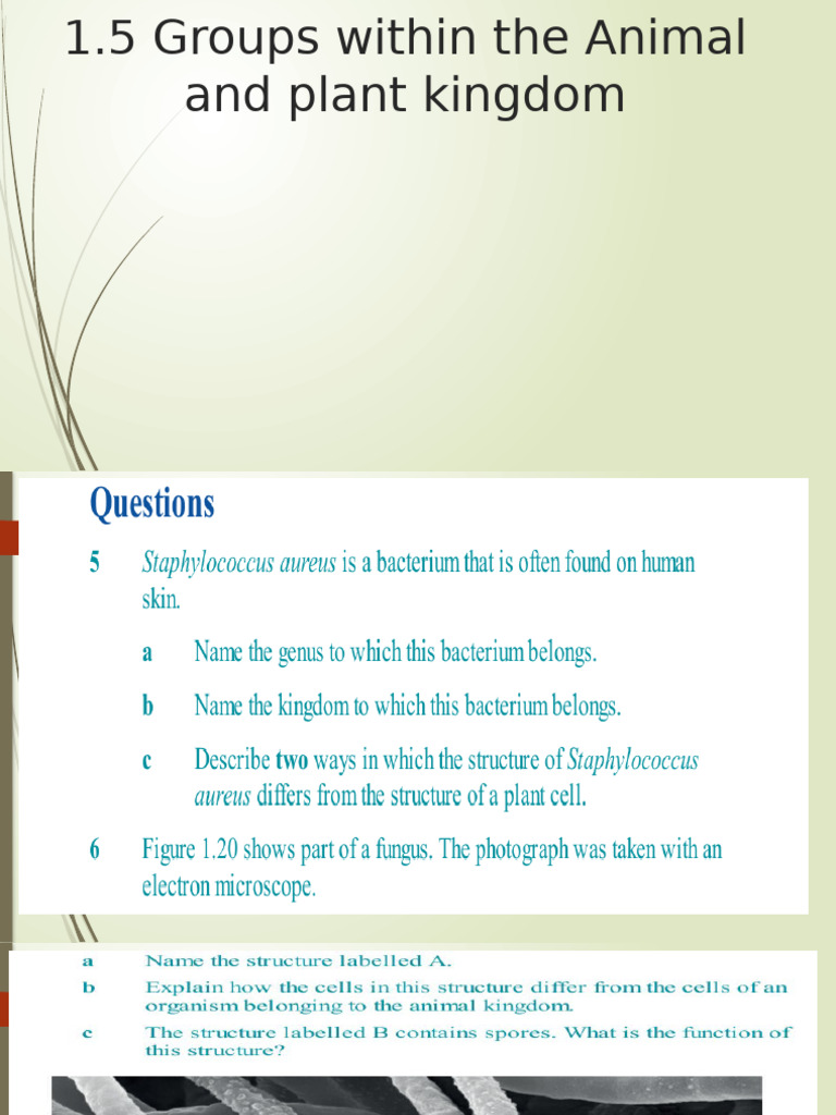 1.5 Groups Within Animal and Plant Kingdoms | PDF