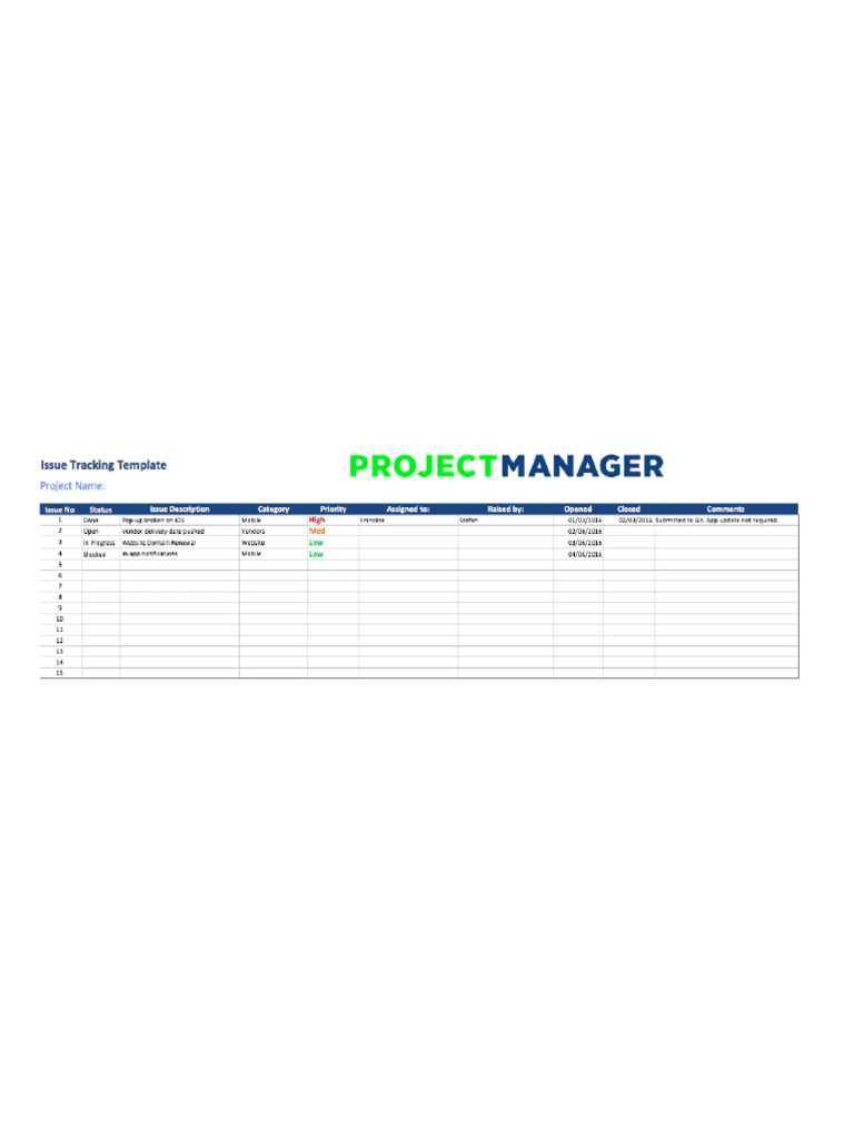 Project Manager | PDF