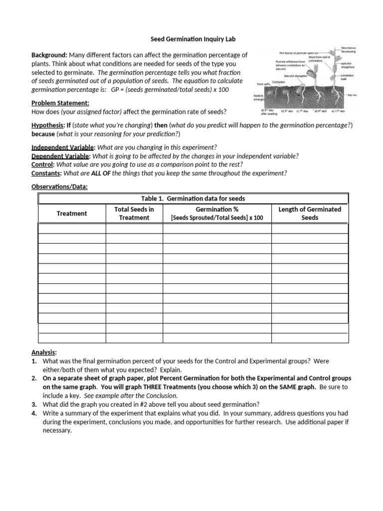 Lab - Seed Germination Revised 2024 | PDF