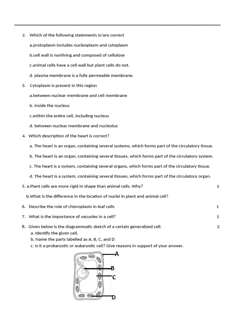 Cell Structure and Function Quiz | PDF
