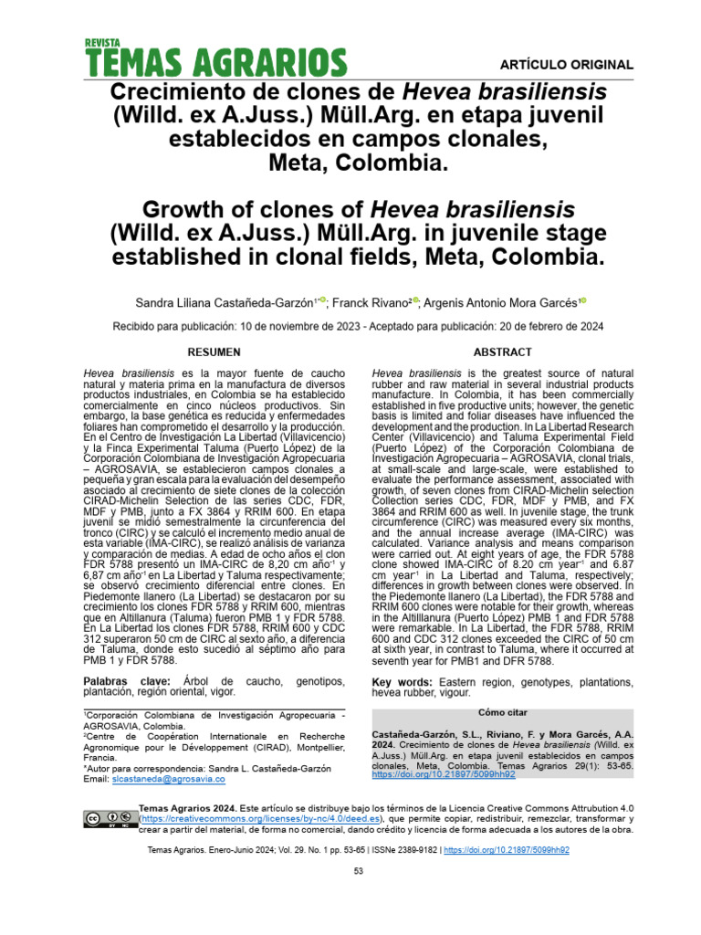 Art-Hevea+brasiliensis-VF5 | PDF