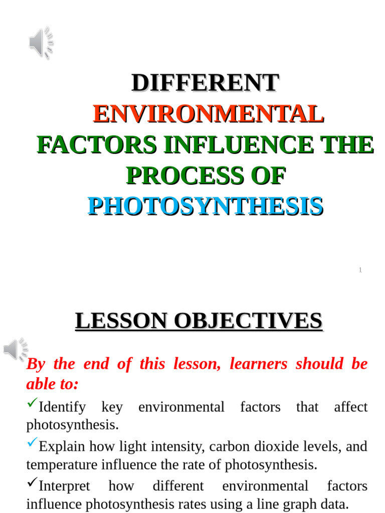 Factors That Affect Photosynthesis | PDF