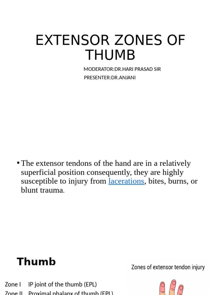 Extensor Zones of Thumb | PDF
