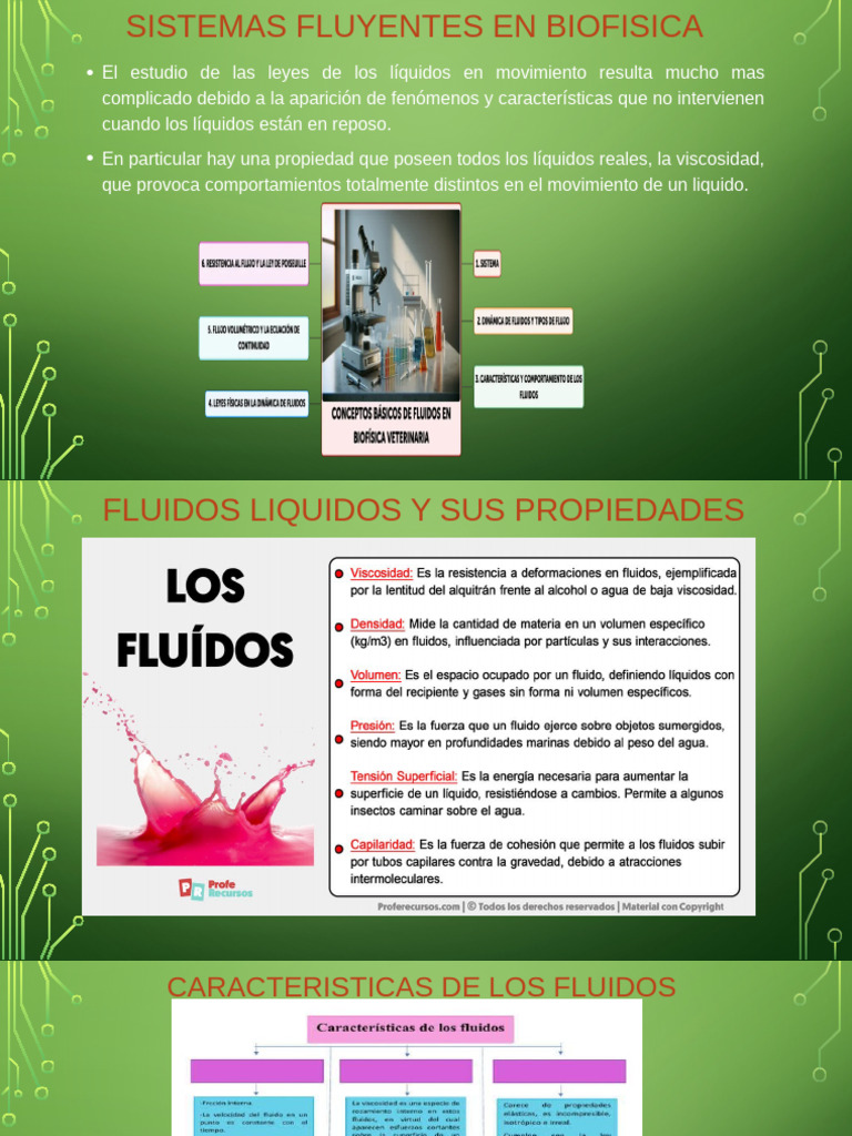 Sistemas Fluyentes en Biofisica y Edema | PDF