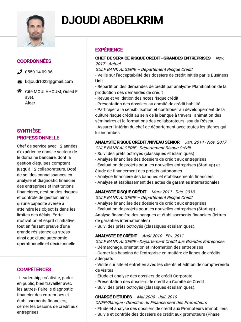 Copie de CV 1 | PDF