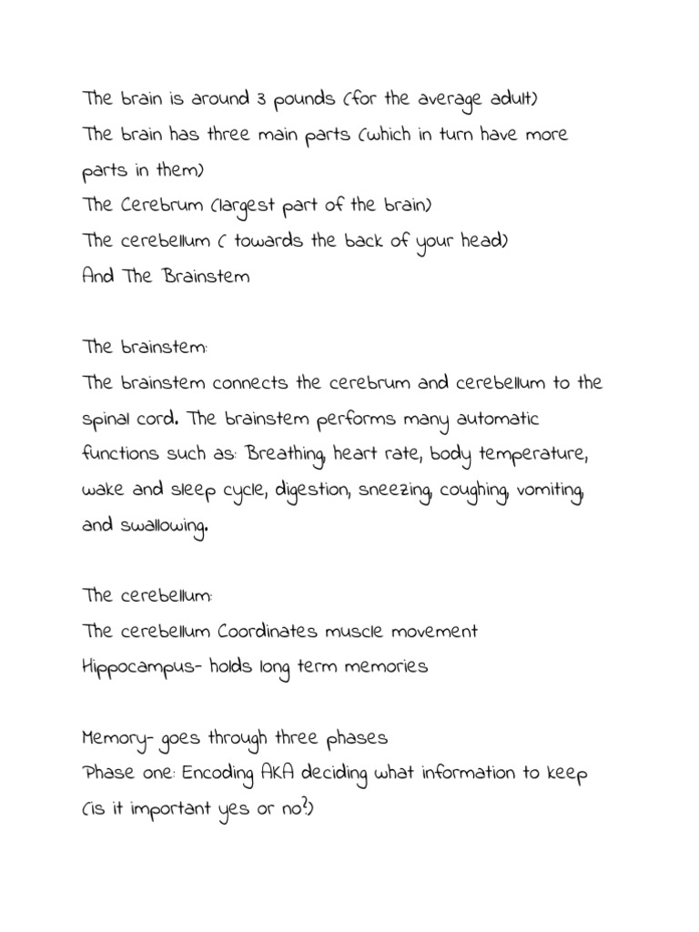 Brains And How They Function Pdf