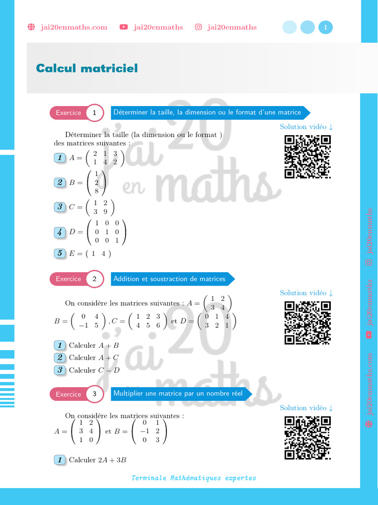 Calcul Matriciel | PDF