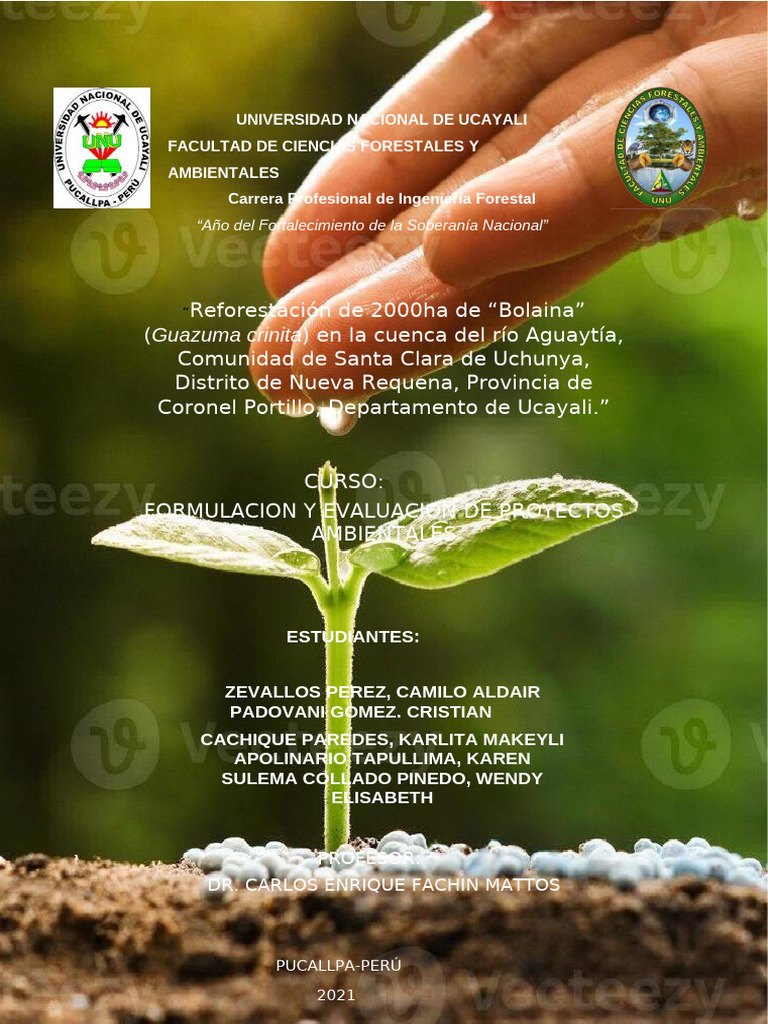 ÀRBOL - 1 - FORMULACION DE PROYECTOS - Examen Parcial . | PDF