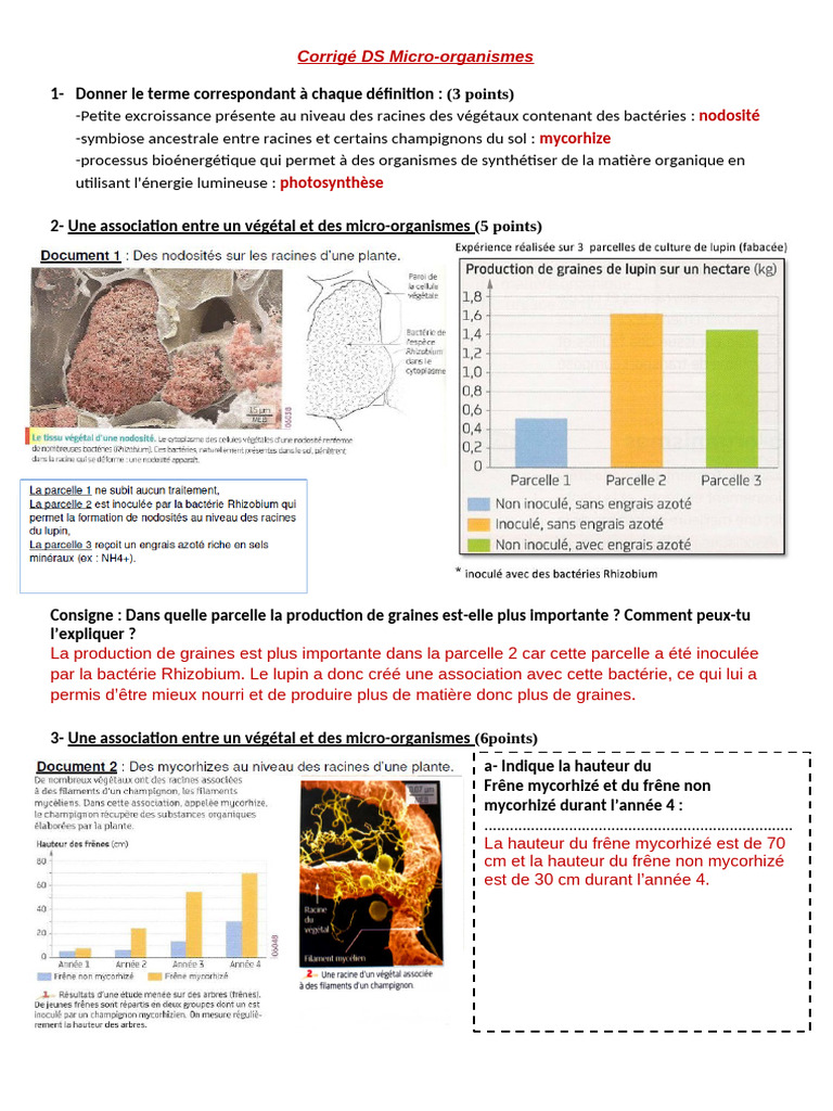 Corrigé DS 2022-2023 Mycorhize Et Nodosité 2 | PDF