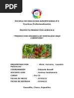 Proyecto de Locote en Paraguay | PDF | Pimiento | Economias