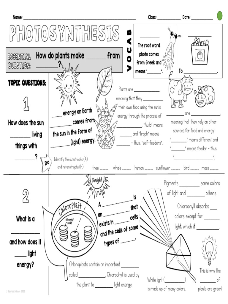 Doodle Notes on Photosynthesis | PDF | Photosynthesis | Cell (Biology)