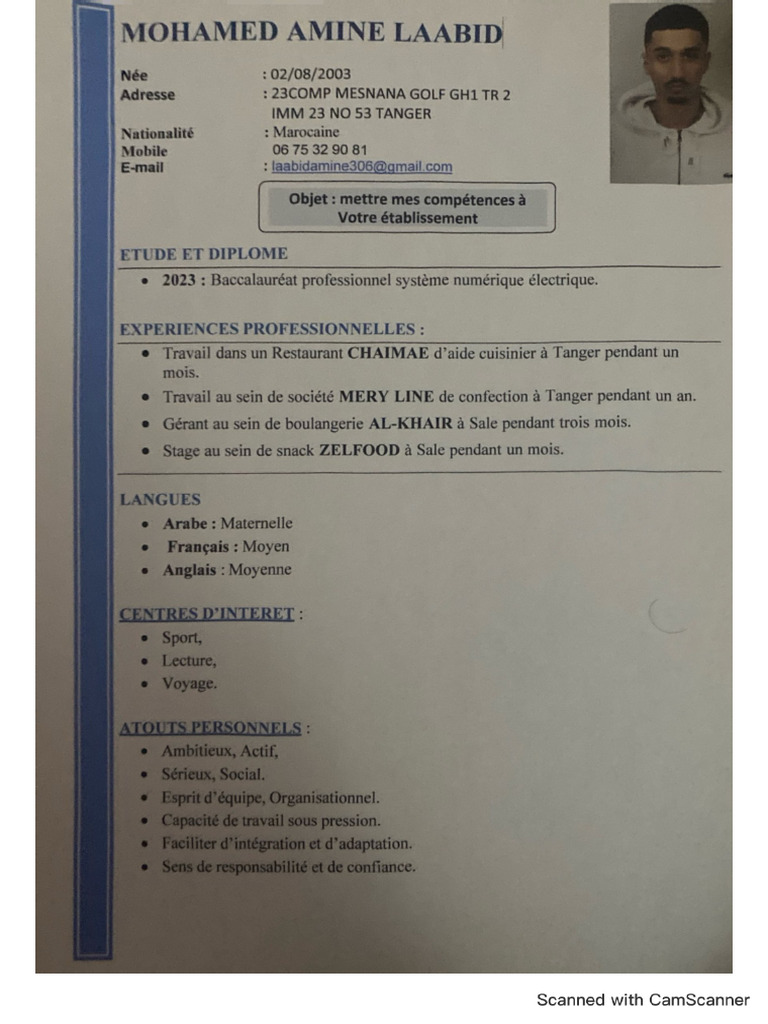 CV Laabid Amine 2 | PDF