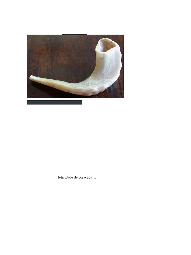 Parashá Ki Tavo Pdf