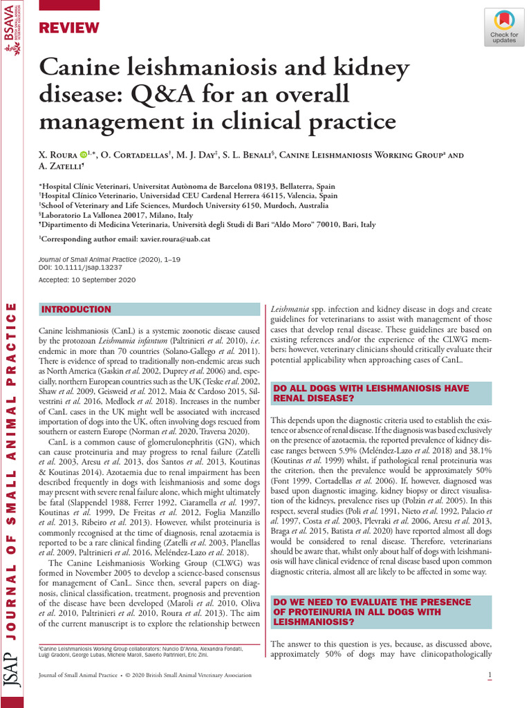 Leish Kidney Disease | PDF