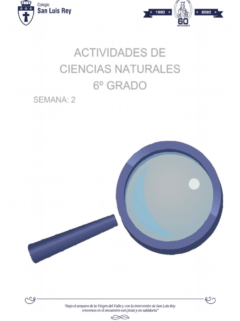 CS - Naturales 6º Grado Semana 2 | PDF
