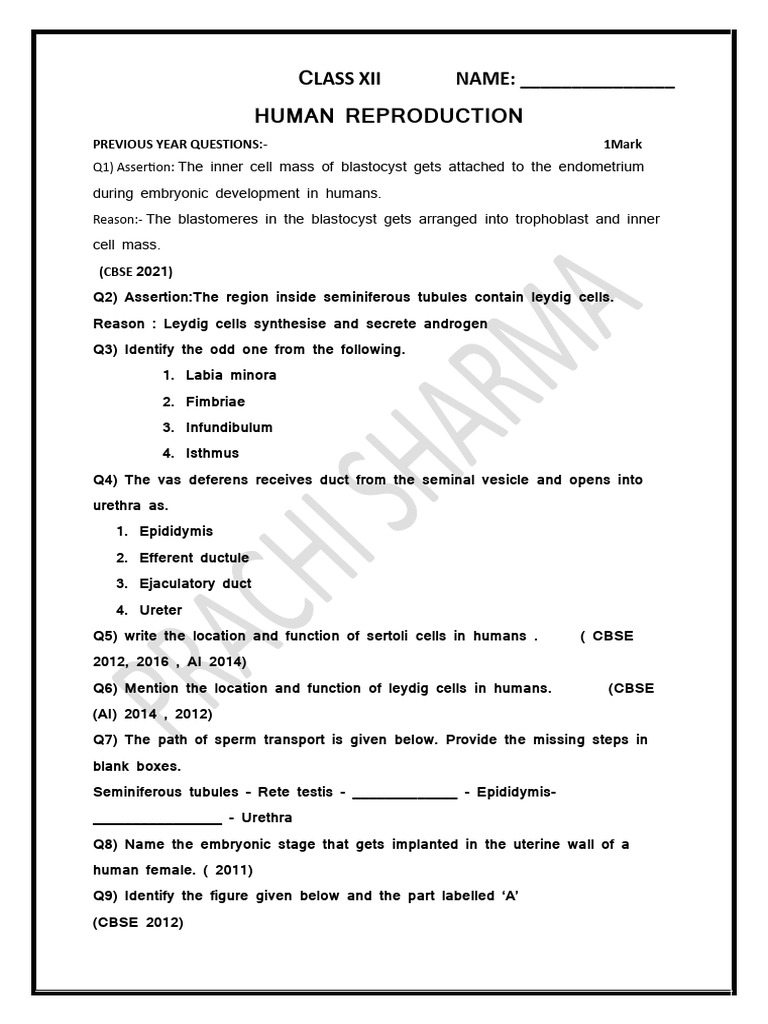 (Ch-3) HUMAN REPRODUCTION PYQs | PDF