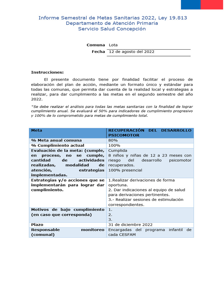 Formato Plan de Acción Metas Sanitarias | PDF