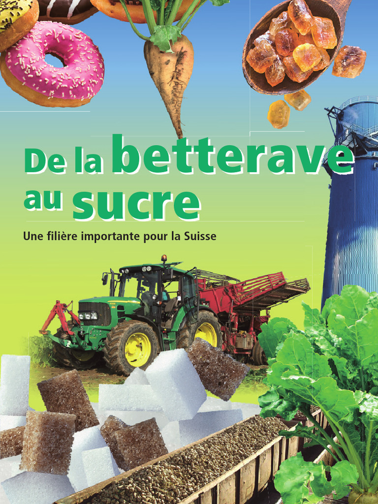 De_la_betterave_au_sucre_2015 | PDF