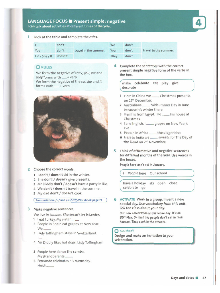 Present Simple Exercises - Book English Plus | PDF