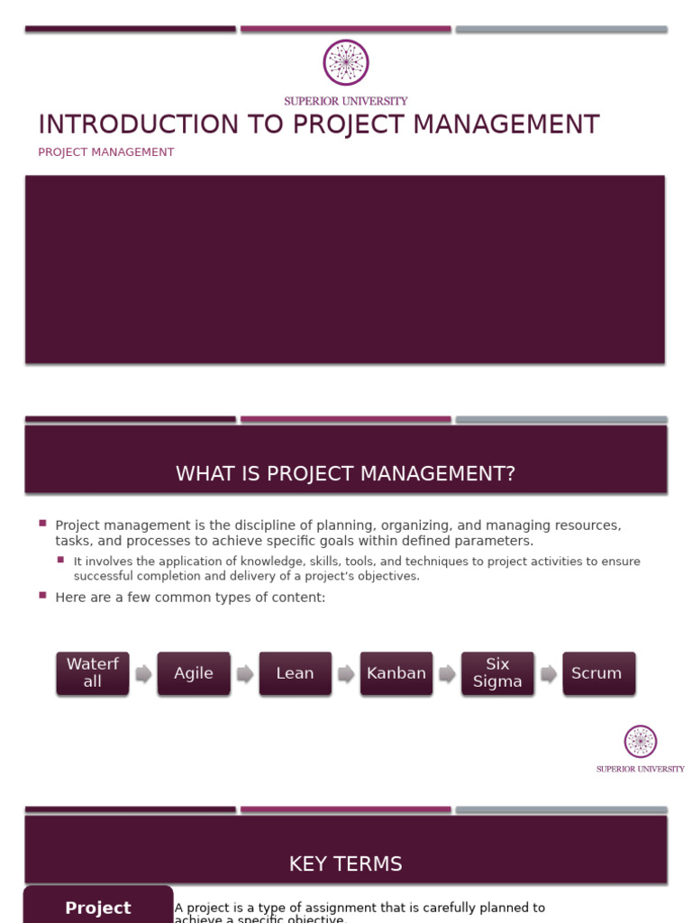 Week 1 - Introduction to Project Management | PDF