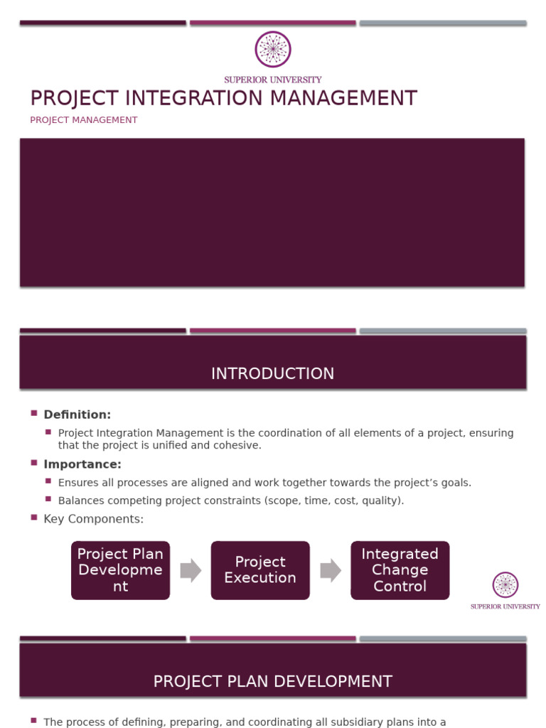Week 3 - Project Integration Management | PDF