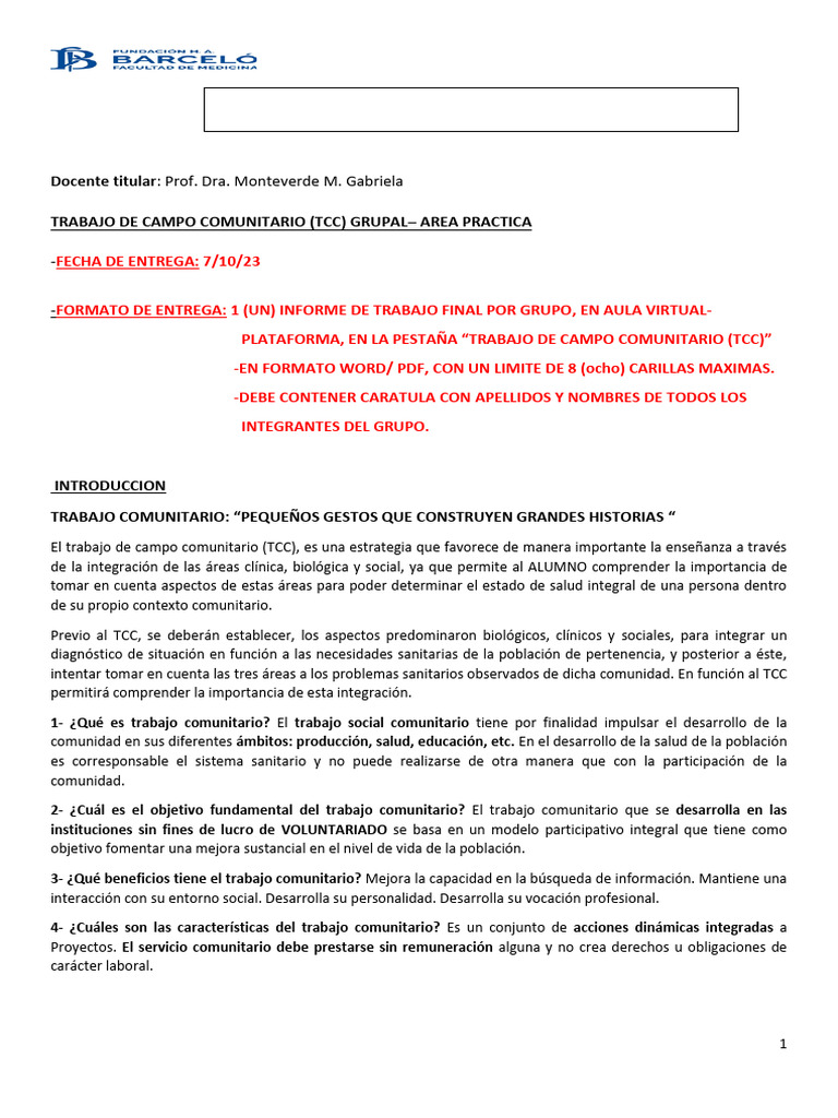 CONSIGNA TCC ACTUALIZADO | PDF