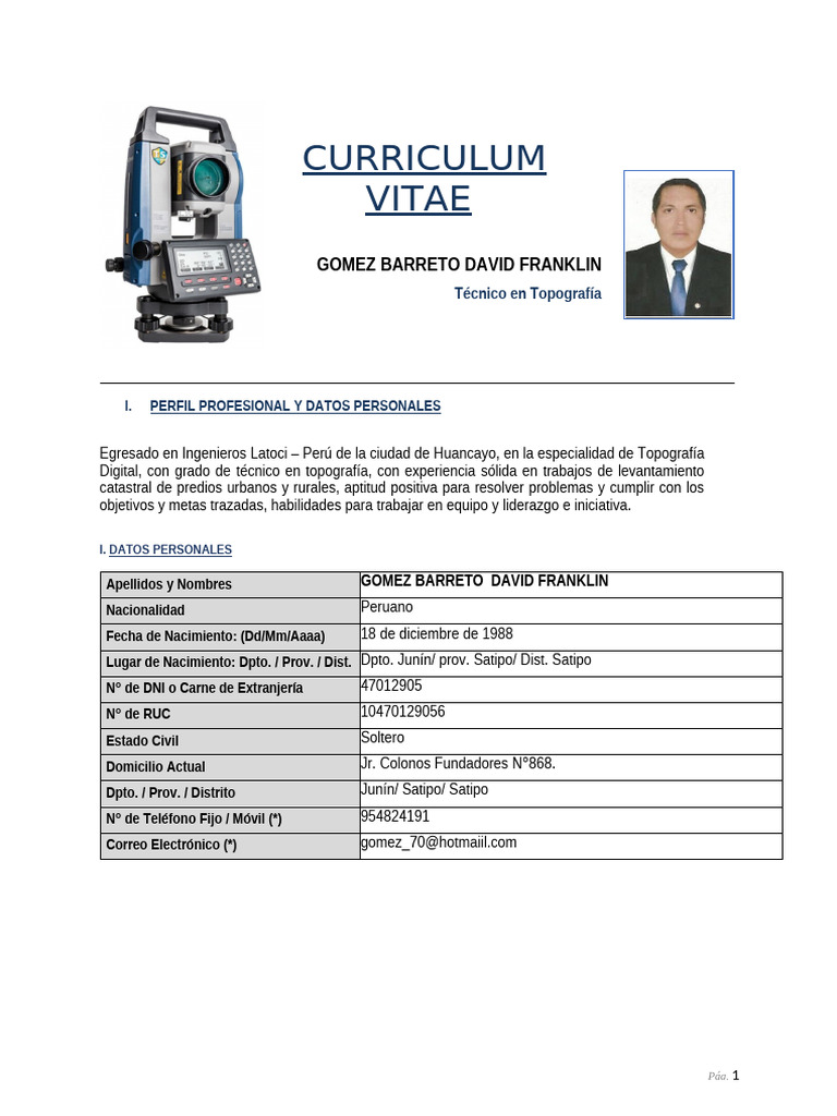 cv de david gomez barreto | PDF