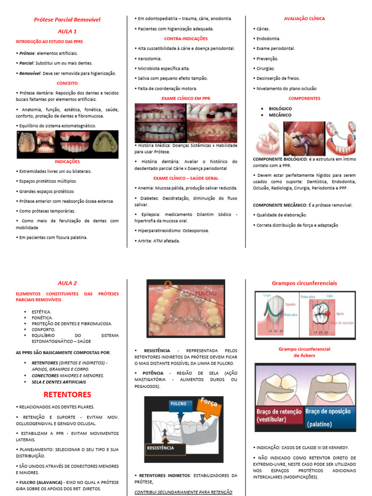 Resumo PPR OFICIAL | PDF