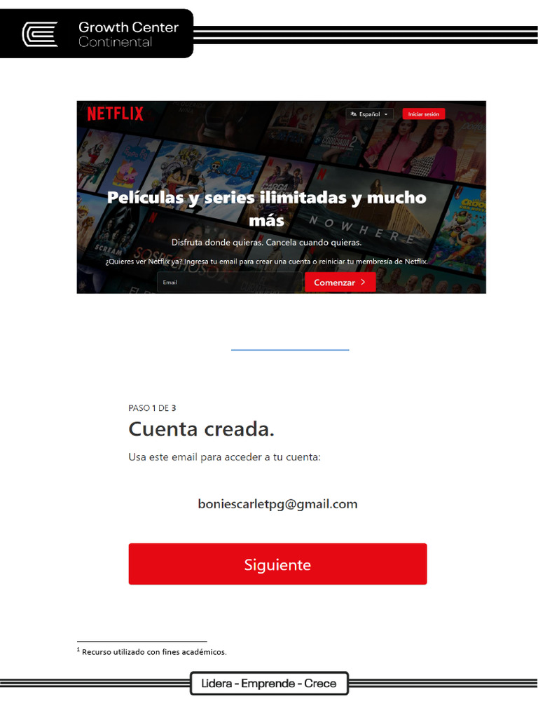 Ejemplo Funnel de Conversión - Netflix | PDF | Informática | Negocios